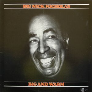 NICHOLAS BIG NICK big and warm - Vinyltom